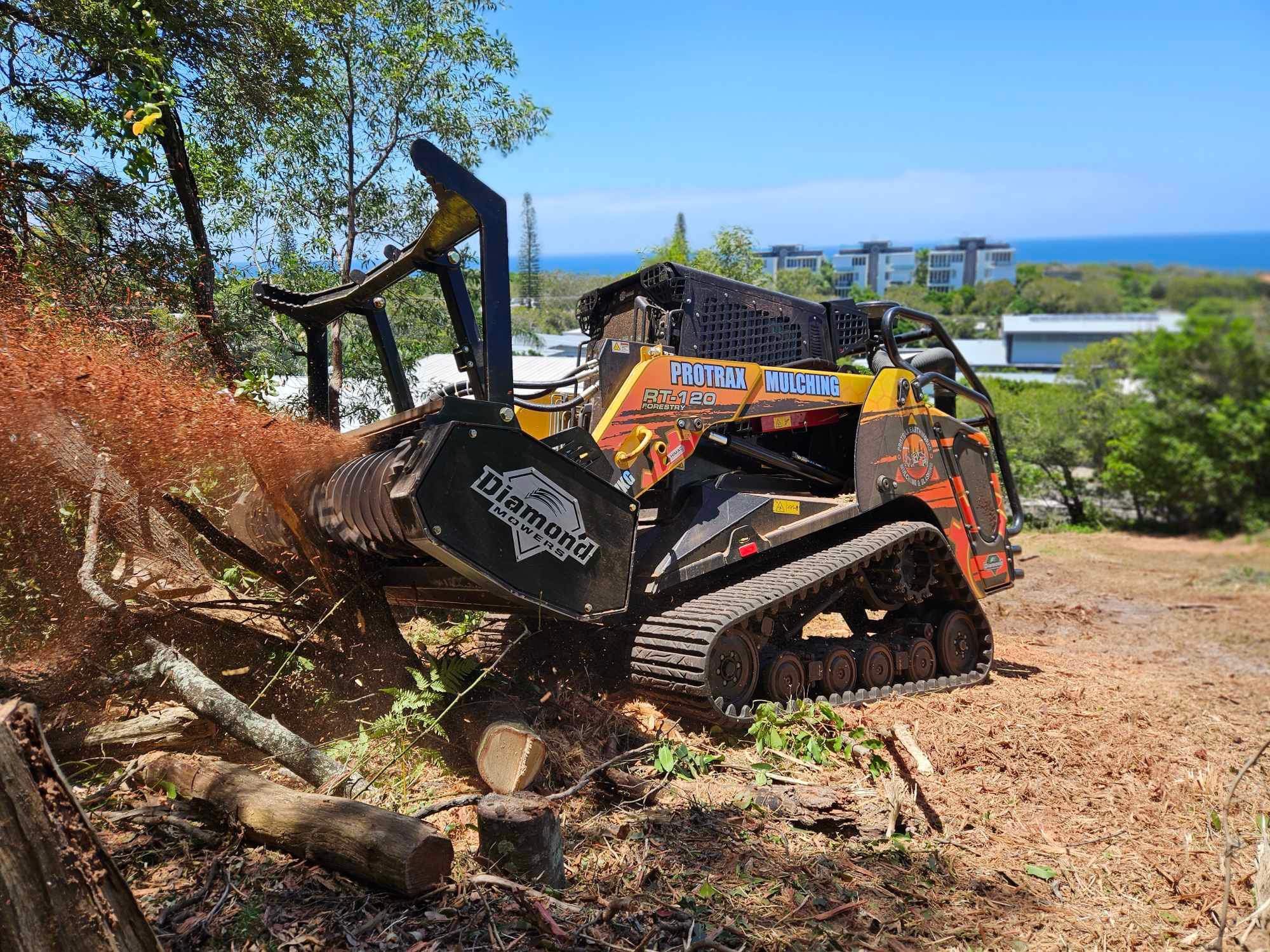 Lantana Removal Queensland — PROTRAX MULCHING