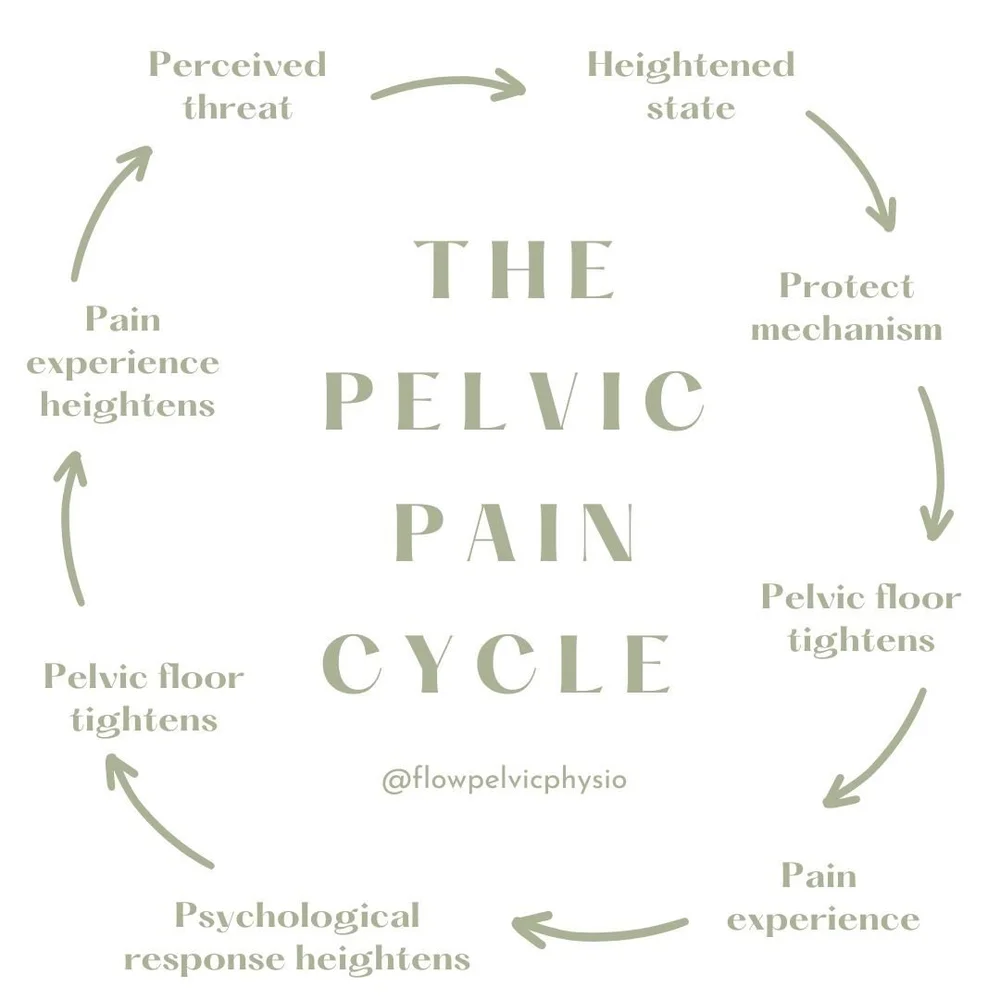 Vaginismus and the pelvic pain cycle. Pain with tampons, pain with sex ...