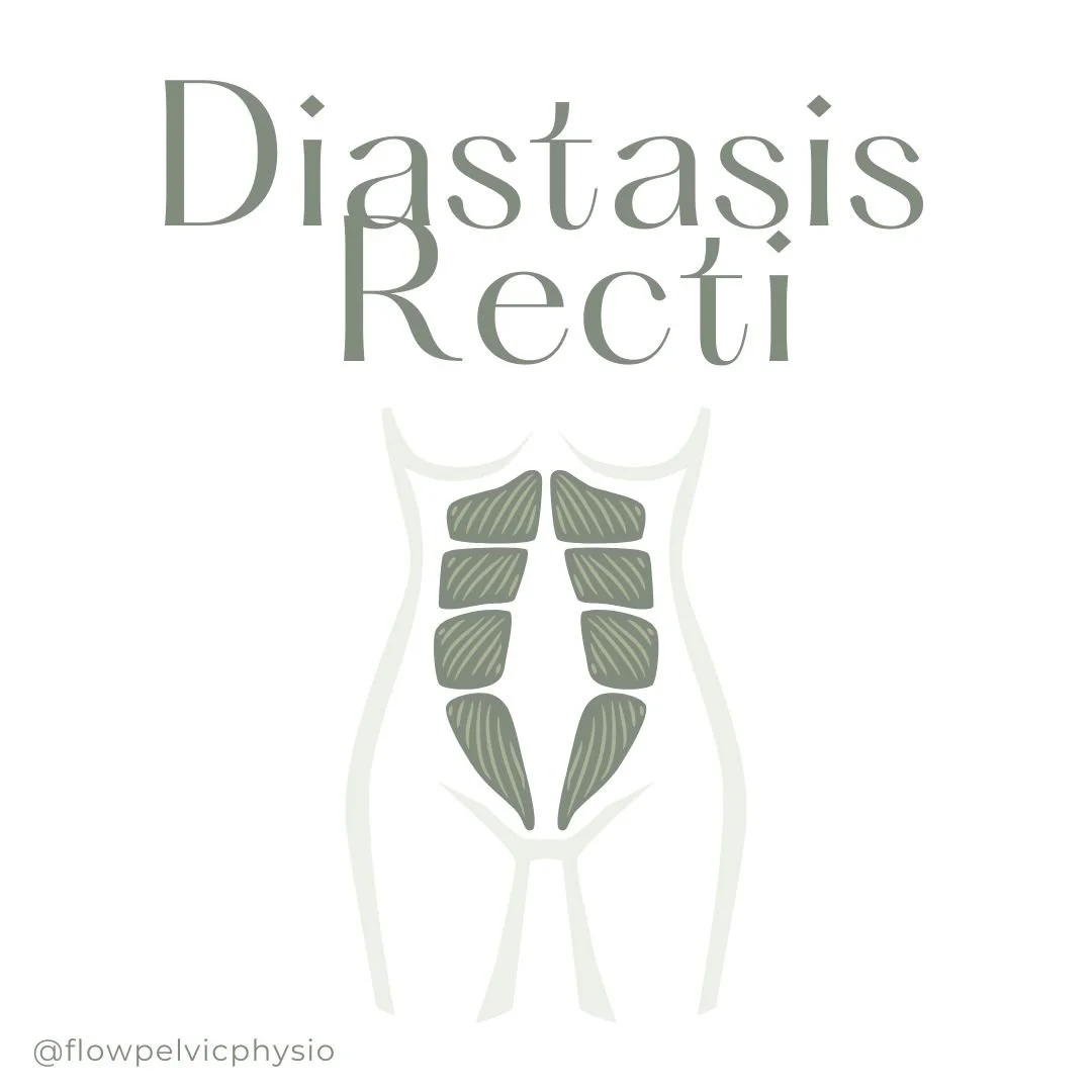 Ab separation - diastasis recti core — Flow Pelvic Physio - Pelvic ...