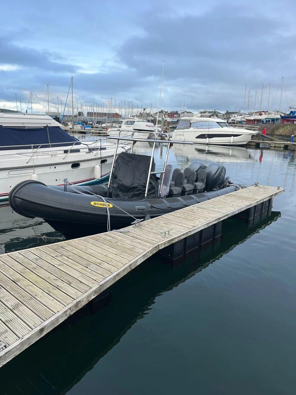 Ailsa Craig Boat Tour - Troon, Ayrshire to Ailsa Craig — Crackin Sea ...