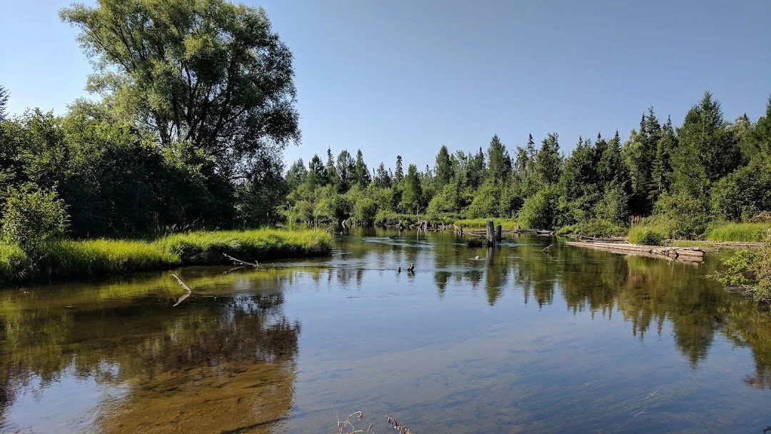 Finley's Riverside Cabins