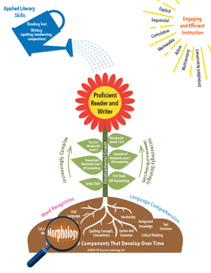 🔎 Morphology Part 1: The Science of Reading — CR Success Learning