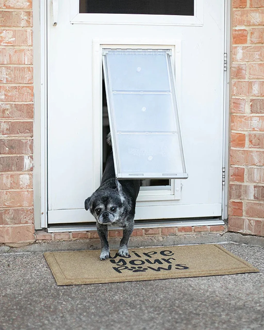Endura Flap - Door — Orange County Dog Doors