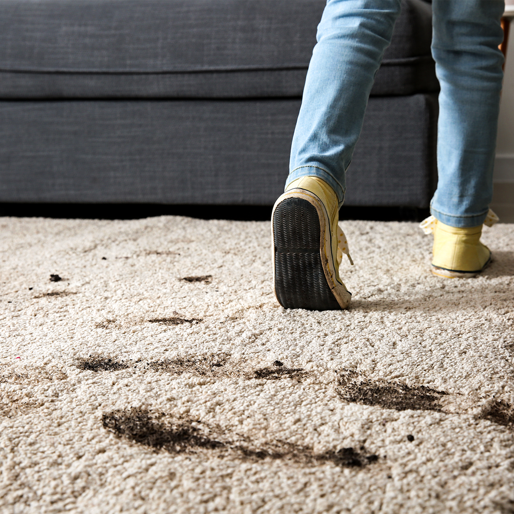 SOS Carpet & Upholstery Cleaning