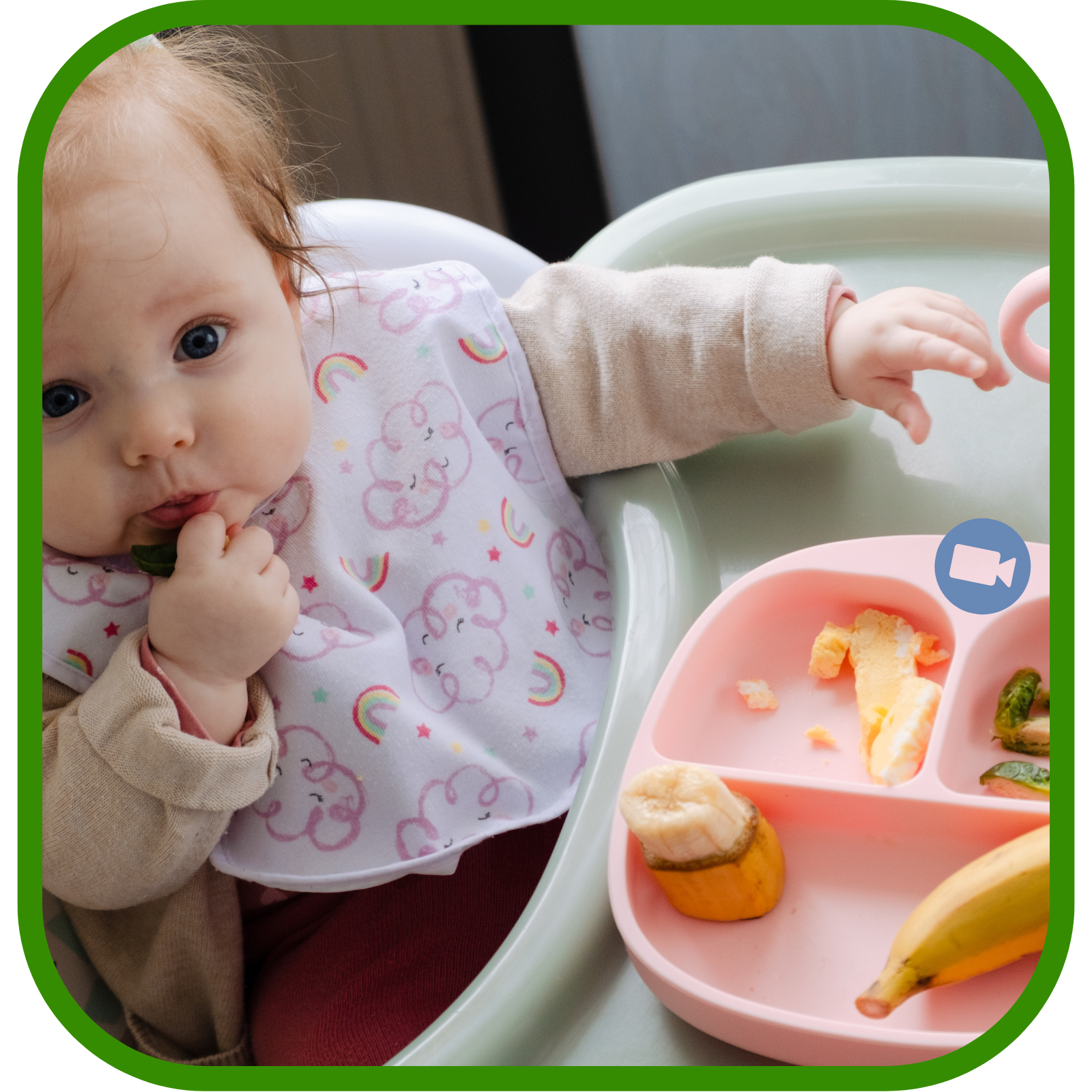 Baby Led Weaning 101 — Nurtured Foundation | Cleveland Doula Services ...