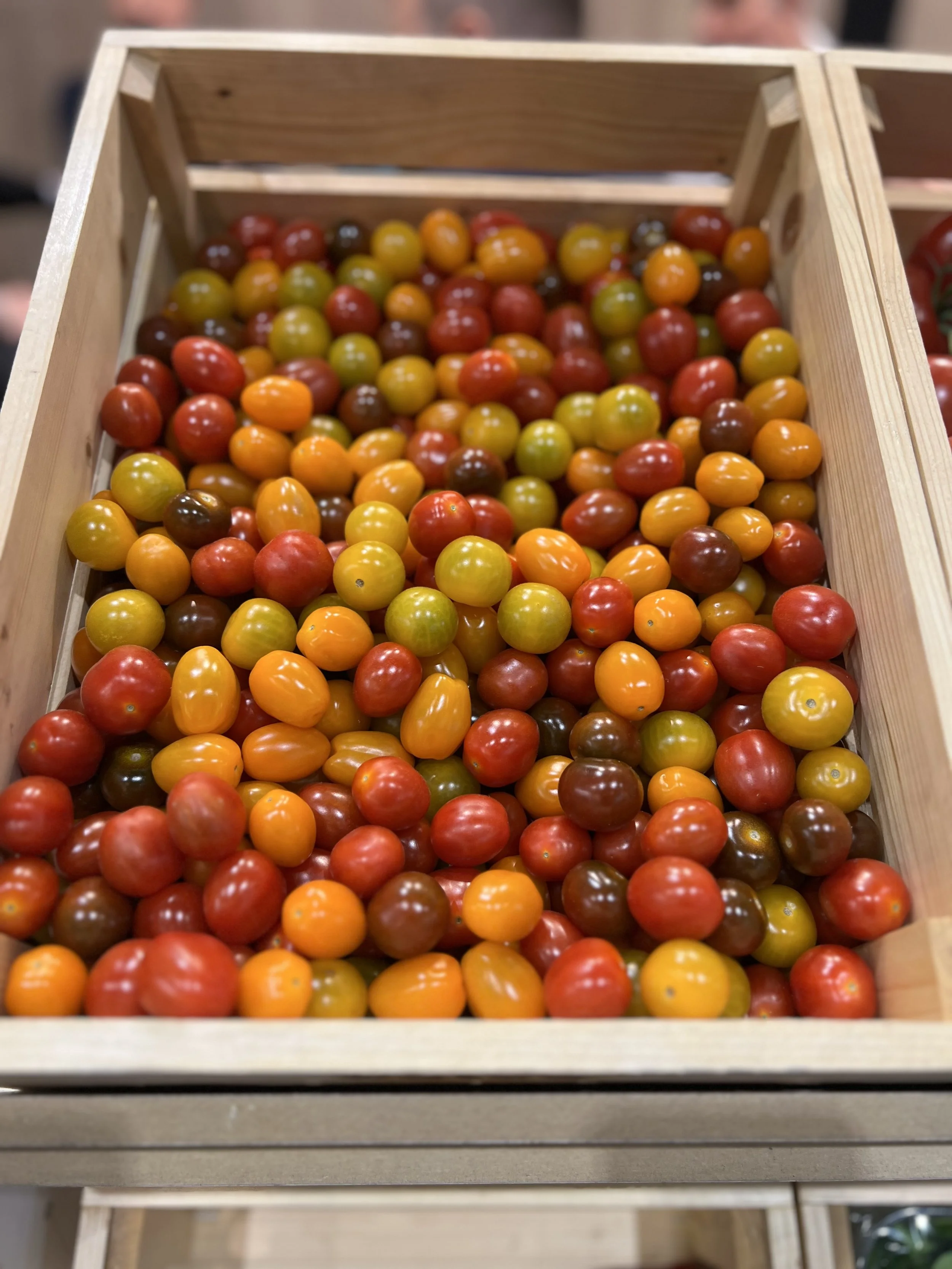 Our Products — Kaliroy LLC