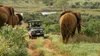 Partner with Zulu Nyala: Fundraising with African Safari Auctions ...