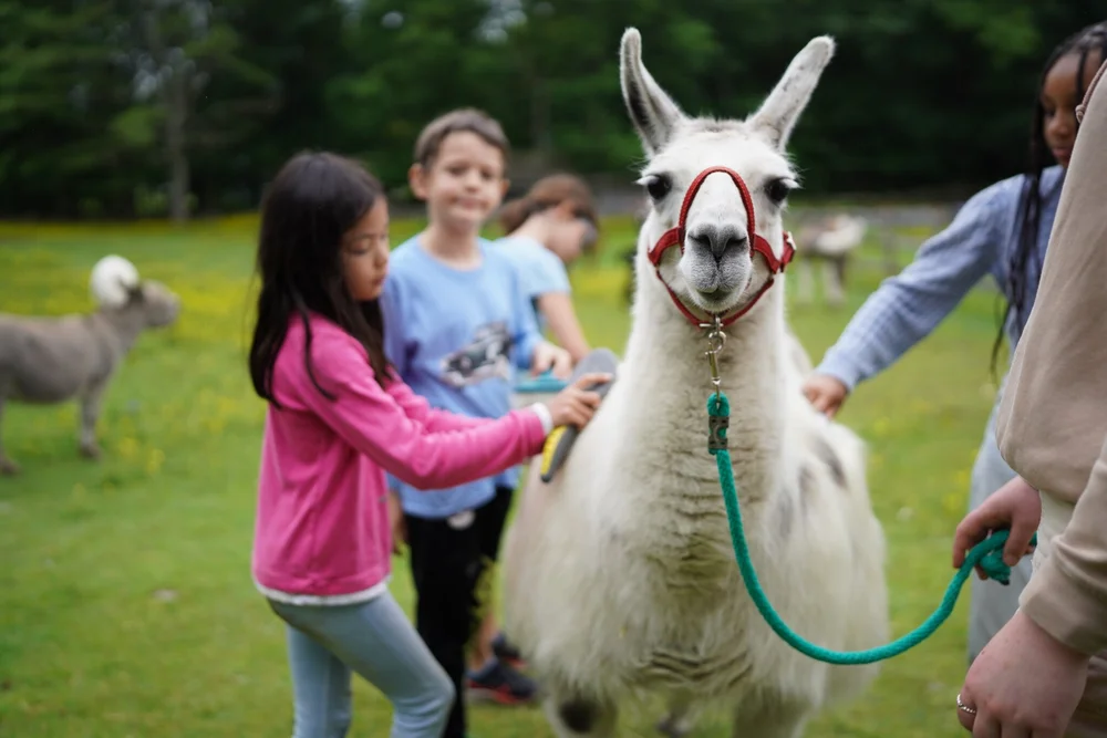 Programs — Hidden Valley Camp | Freedom, Maine