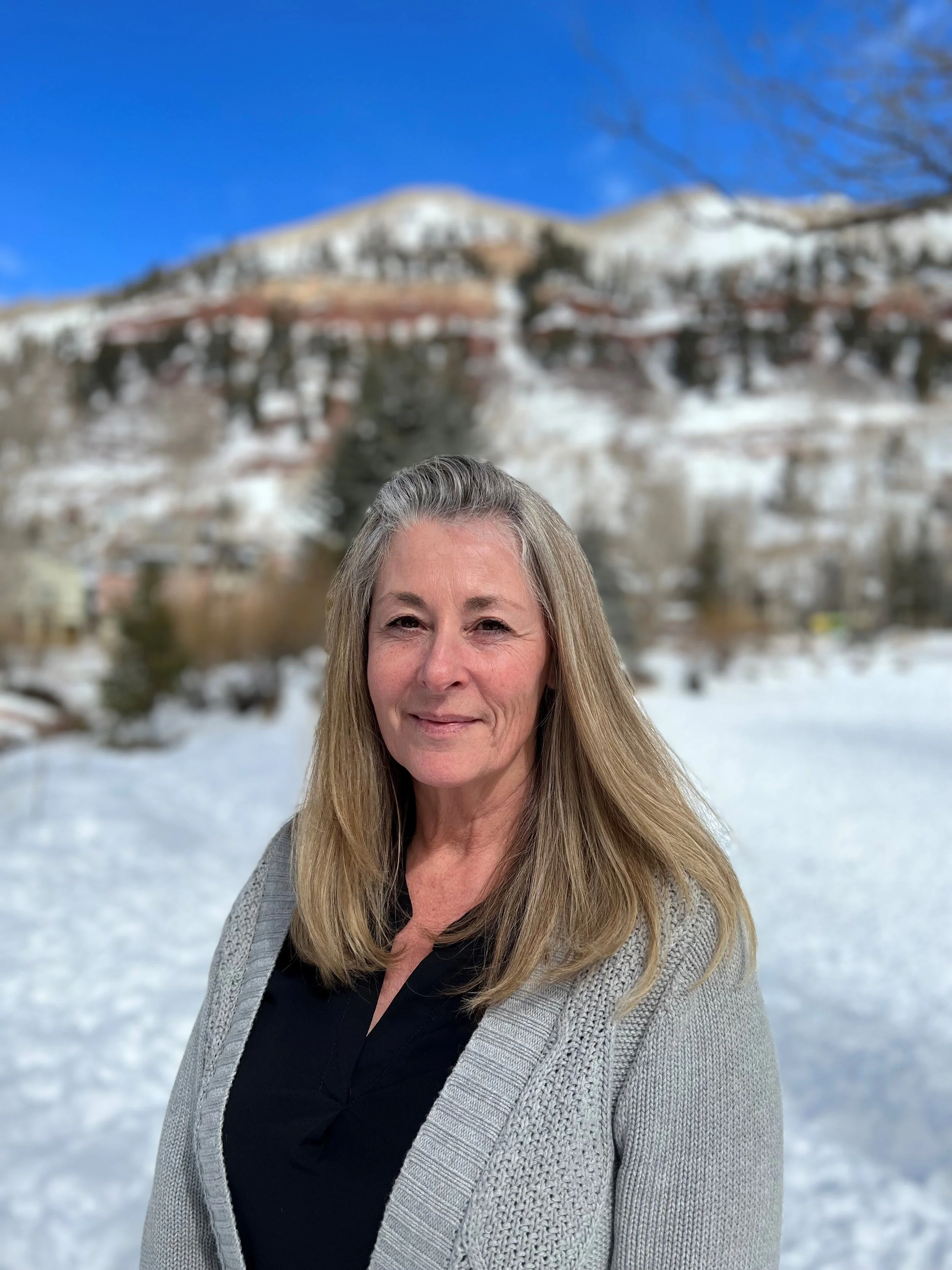 Team — Telluride Consulting