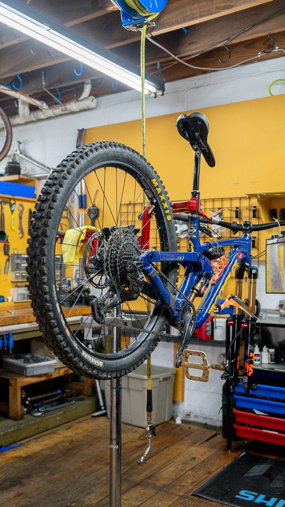 Shenandoah Bicycle Company