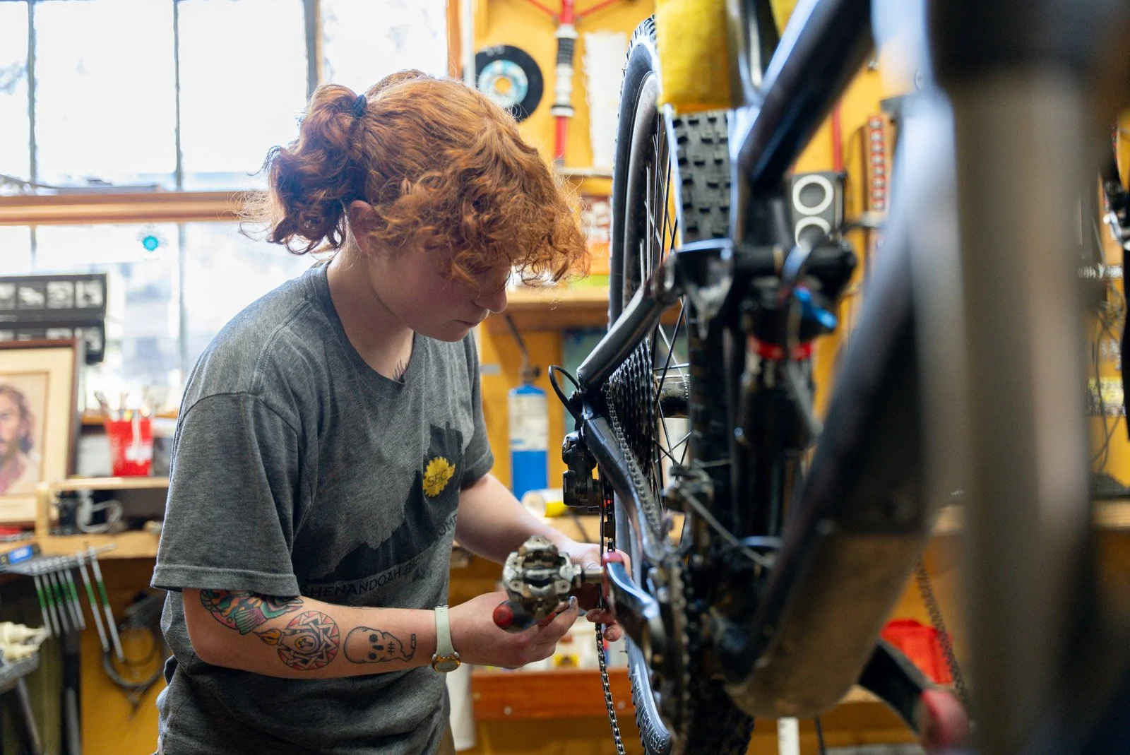 Shenandoah Bicycle Company