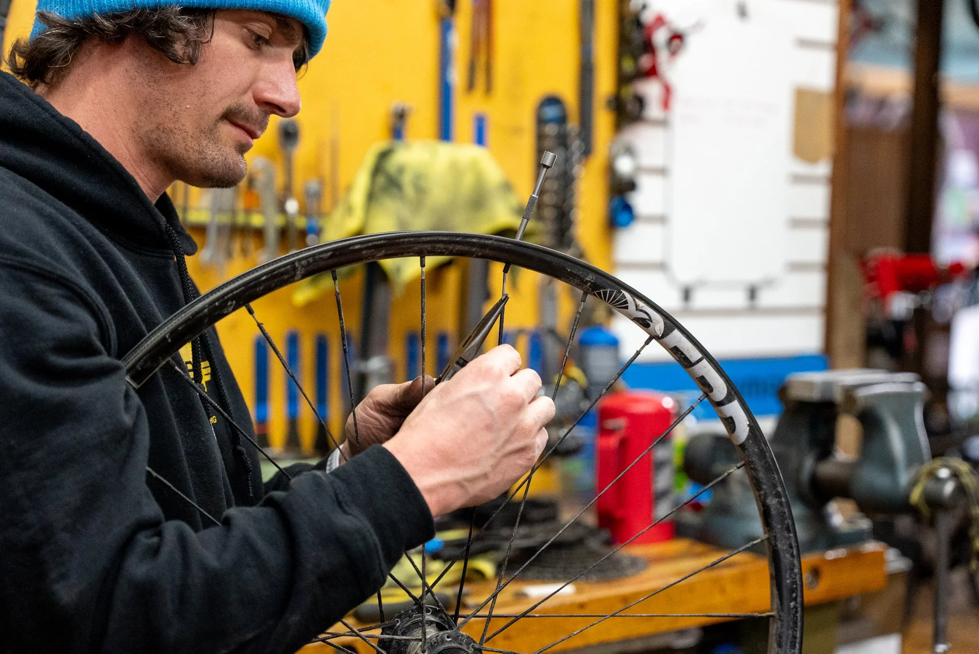 Shenandoah Bicycle Company | Visit Today – Ride Away