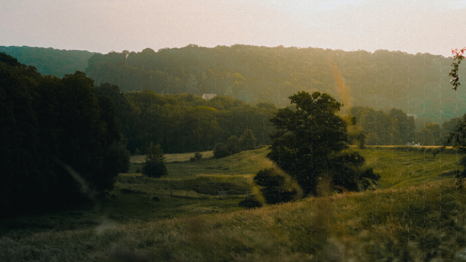 Home | Future of energy solutions | GridFlex Energy