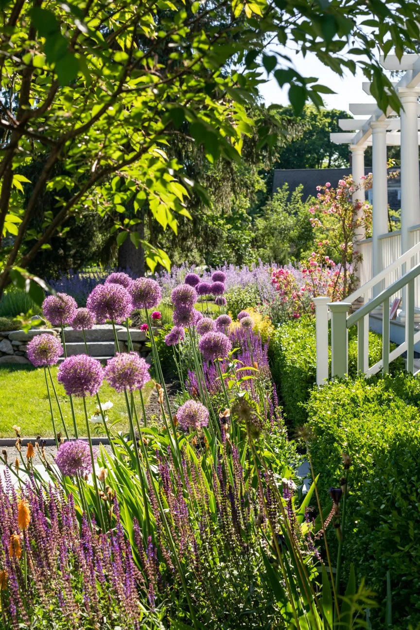 Matisse Garden — Amy Martin Landscape Design