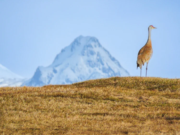 Tours & Experiences — Center for Alaskan Coastal Studies
