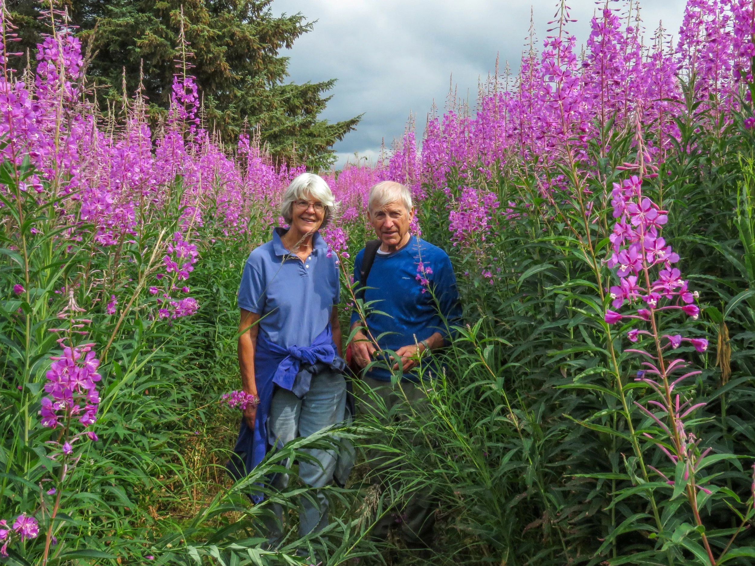 Inspiration Ridge Preserve — Center for Alaskan Coastal Studies