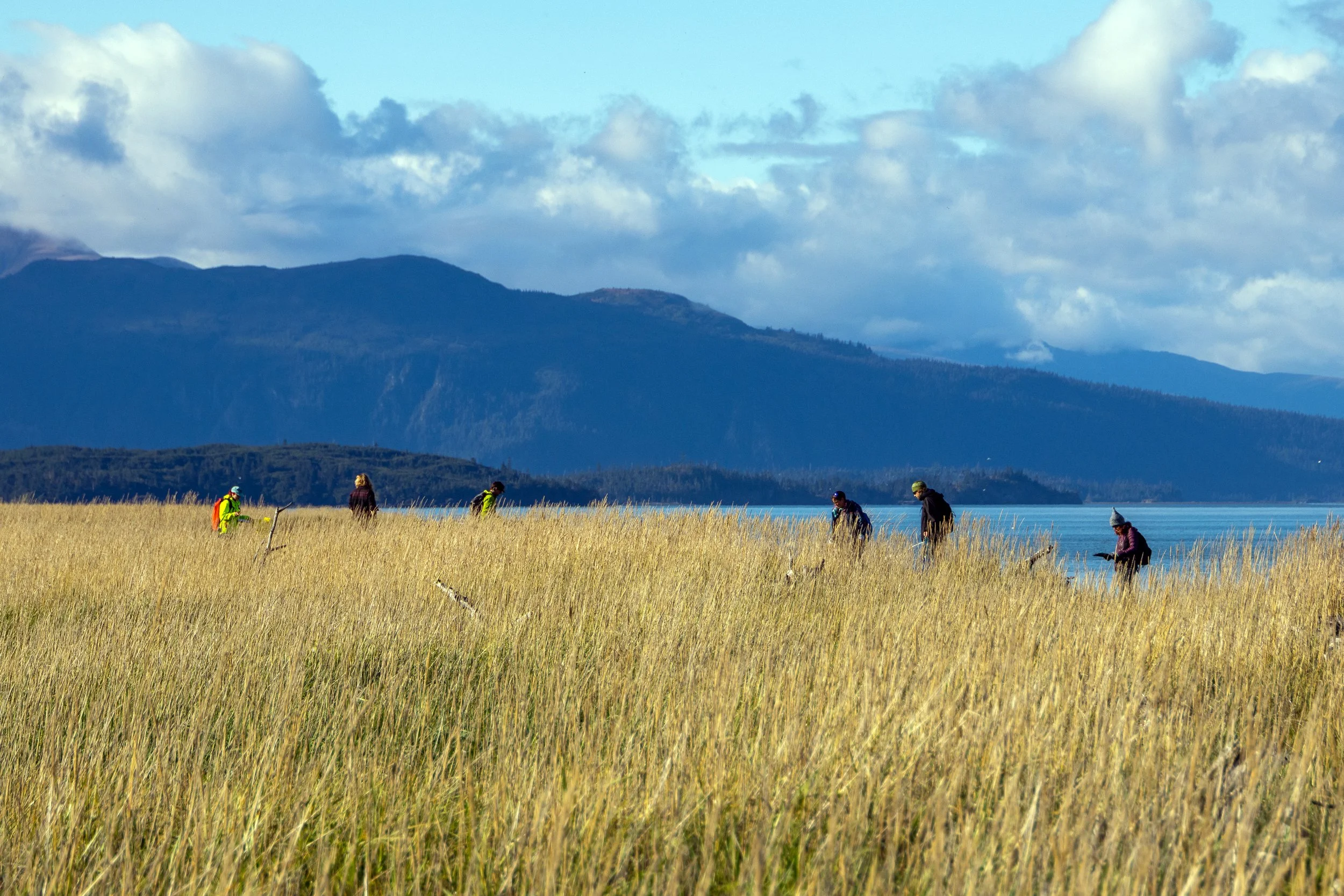 Center for Alaskan Coastal Studies