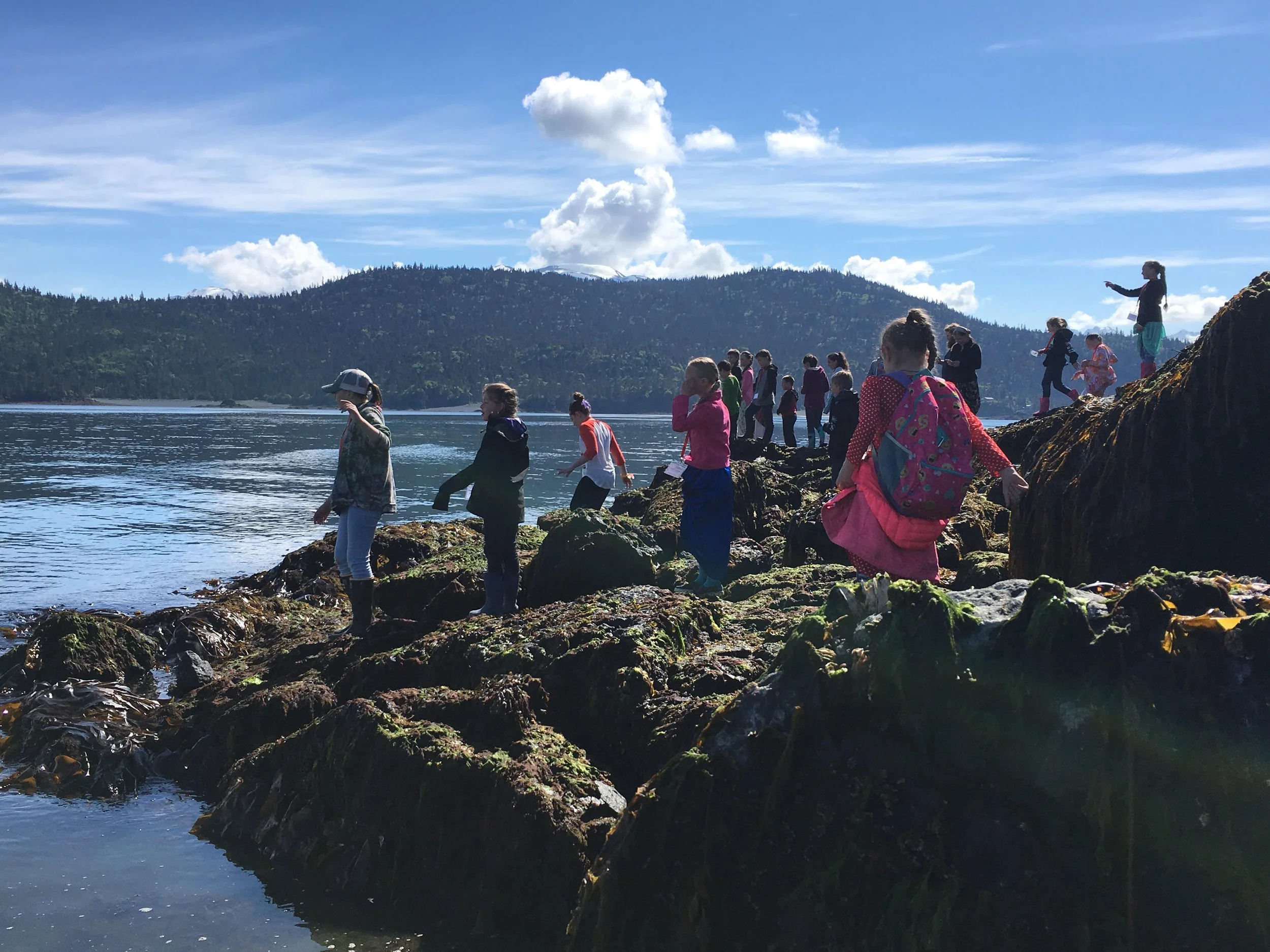 School Programs — Center for Alaskan Coastal Studies