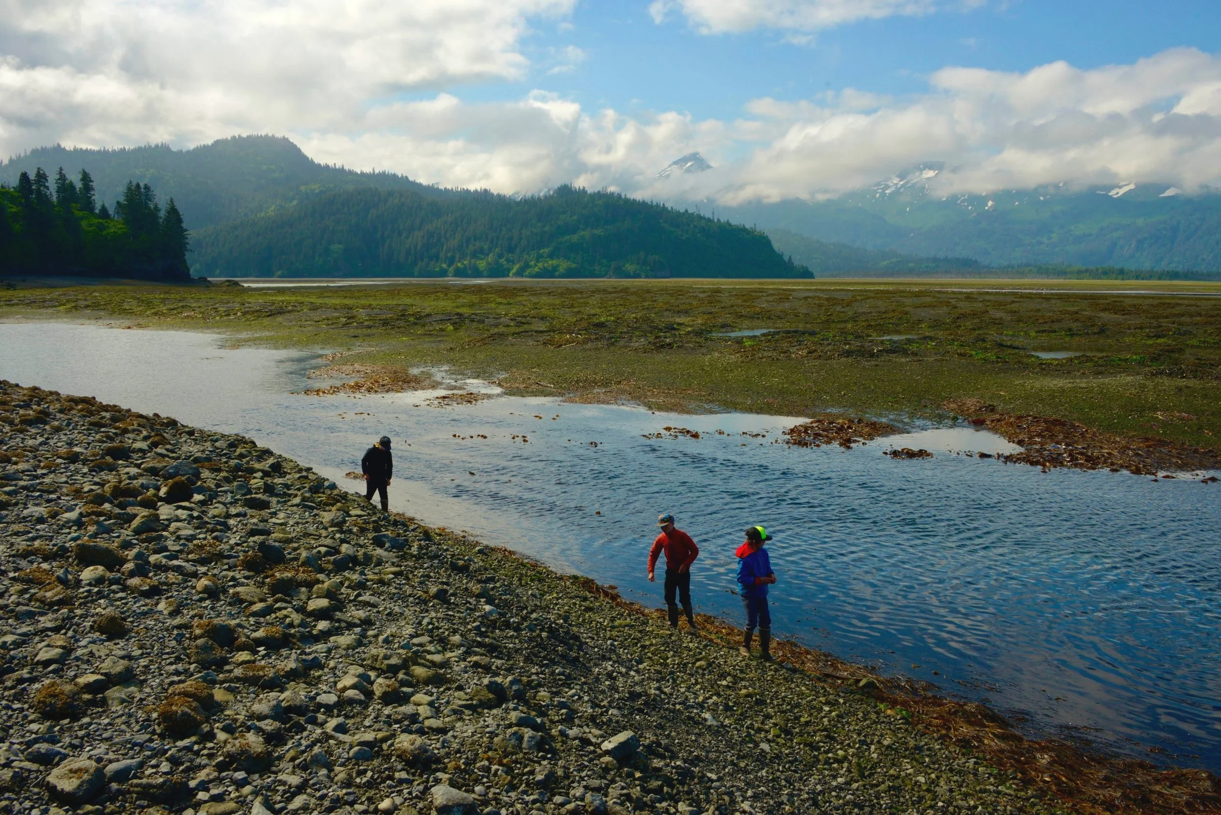 Center for Alaskan Coastal Studies