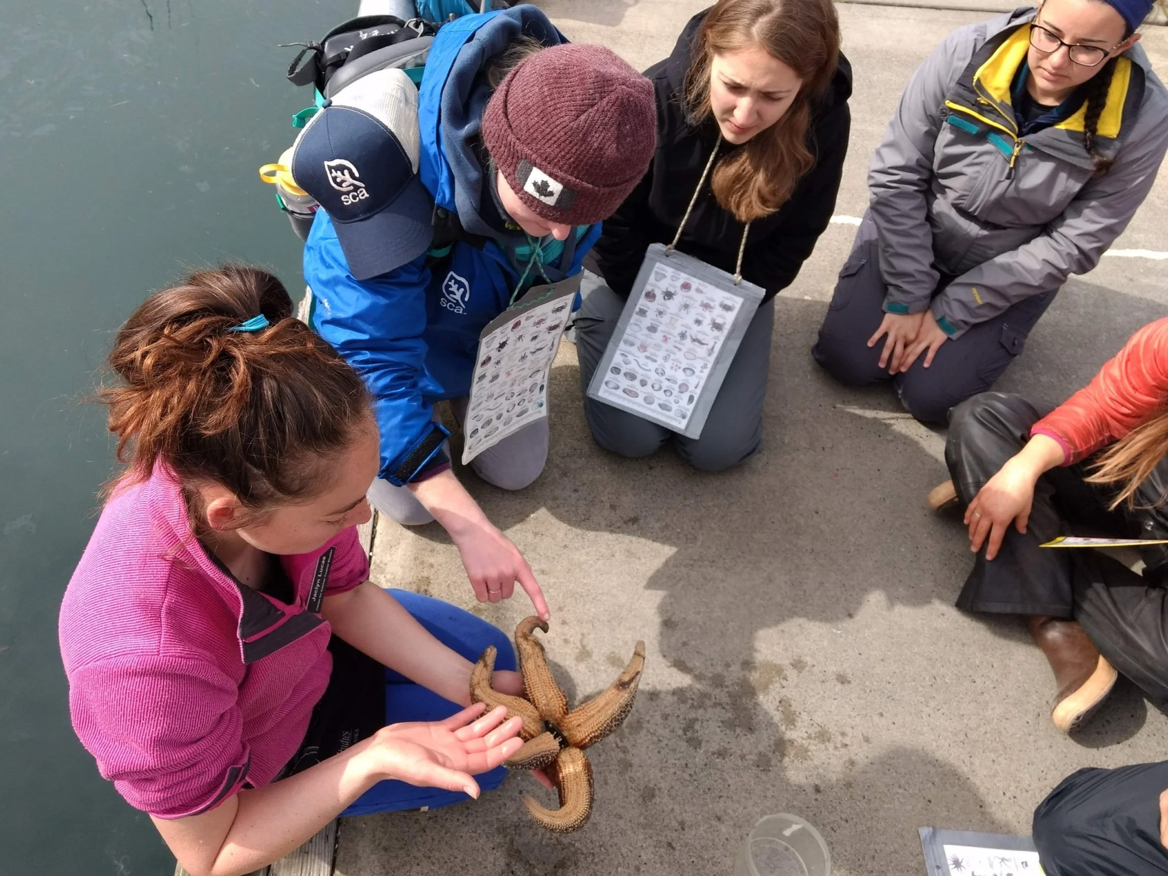 Center for Alaskan Coastal Studies