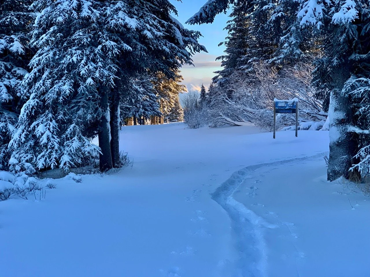 Tours & Experiences — Center for Alaskan Coastal Studies
