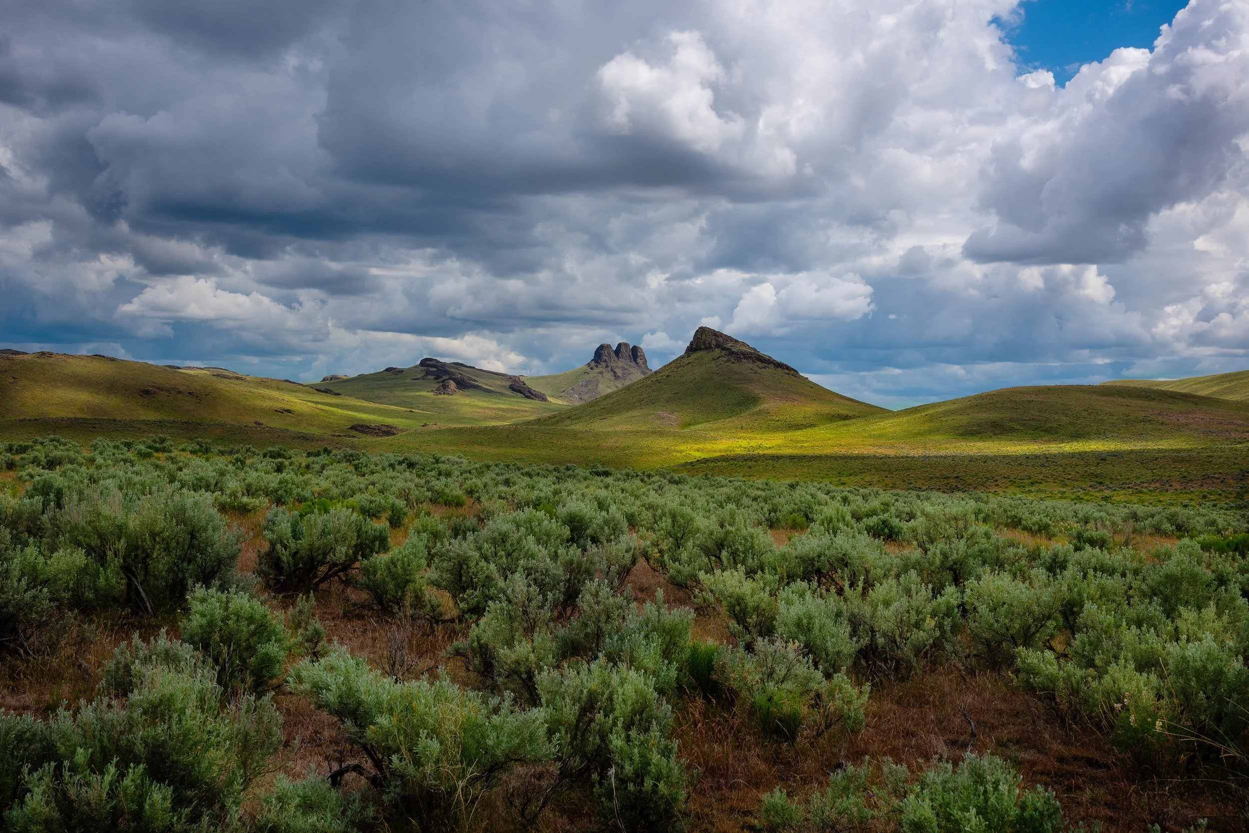 The Place — Protect the Owyhee