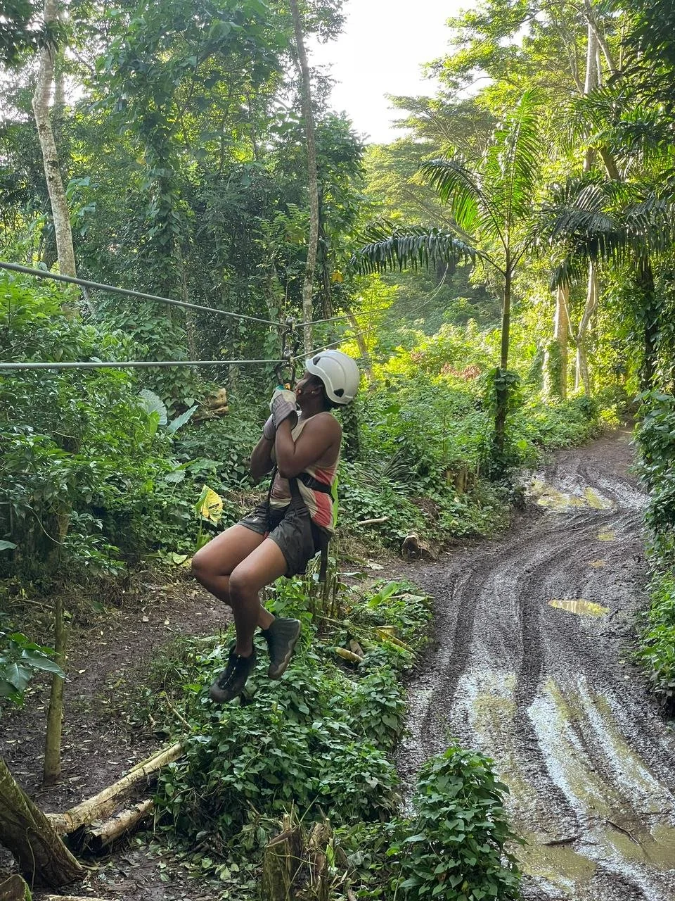 Gallery 3 — River Ryder Adventure Park