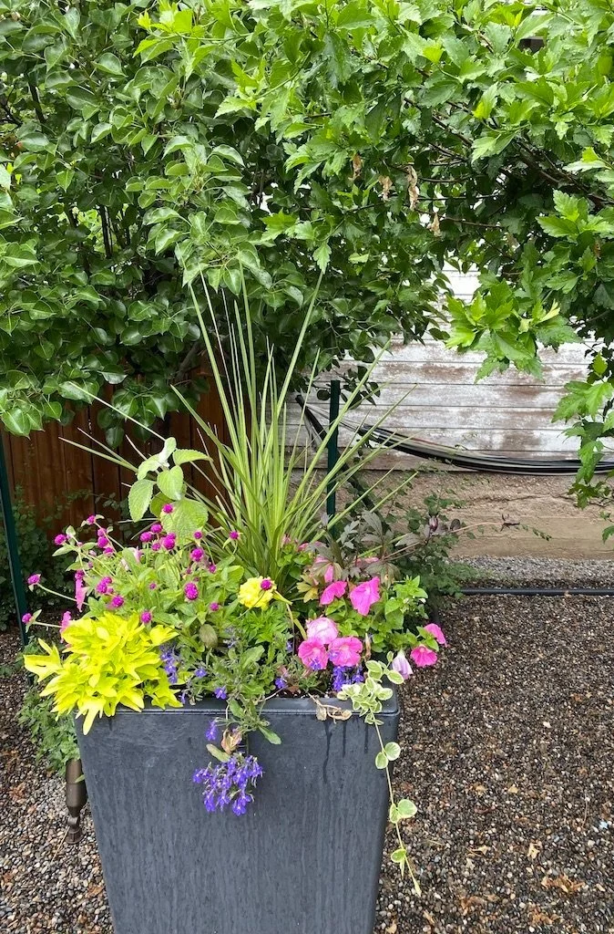 Denver Residential Landscaping | Soulshine Landscaping