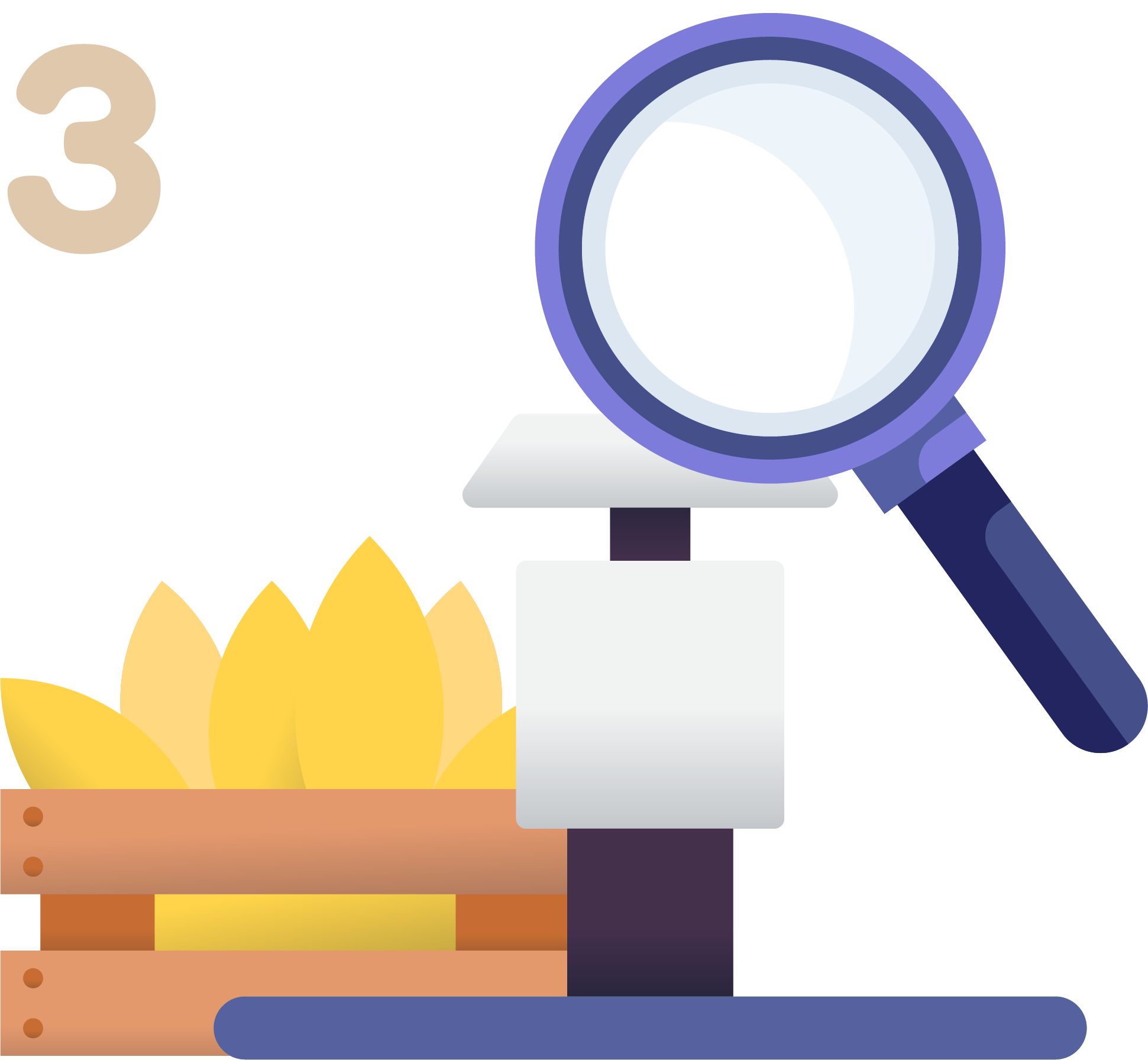 Chick and Duckling Hatching Program for Schools