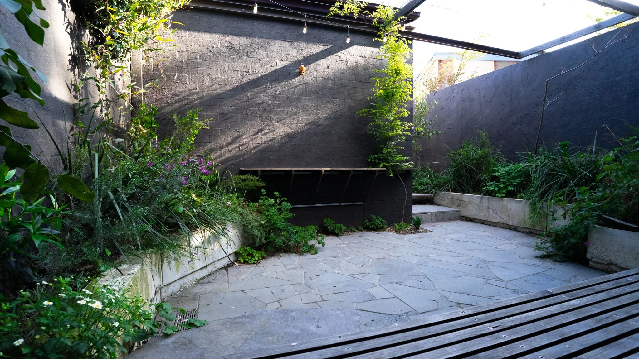 Underwood Courtyard — Lachlan Richardson | Canberra Based Garden Designer