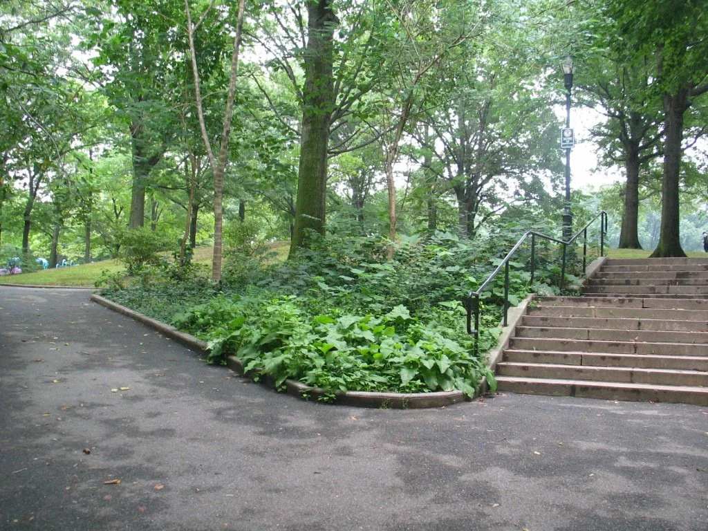 Friends of Mount Prospect Park