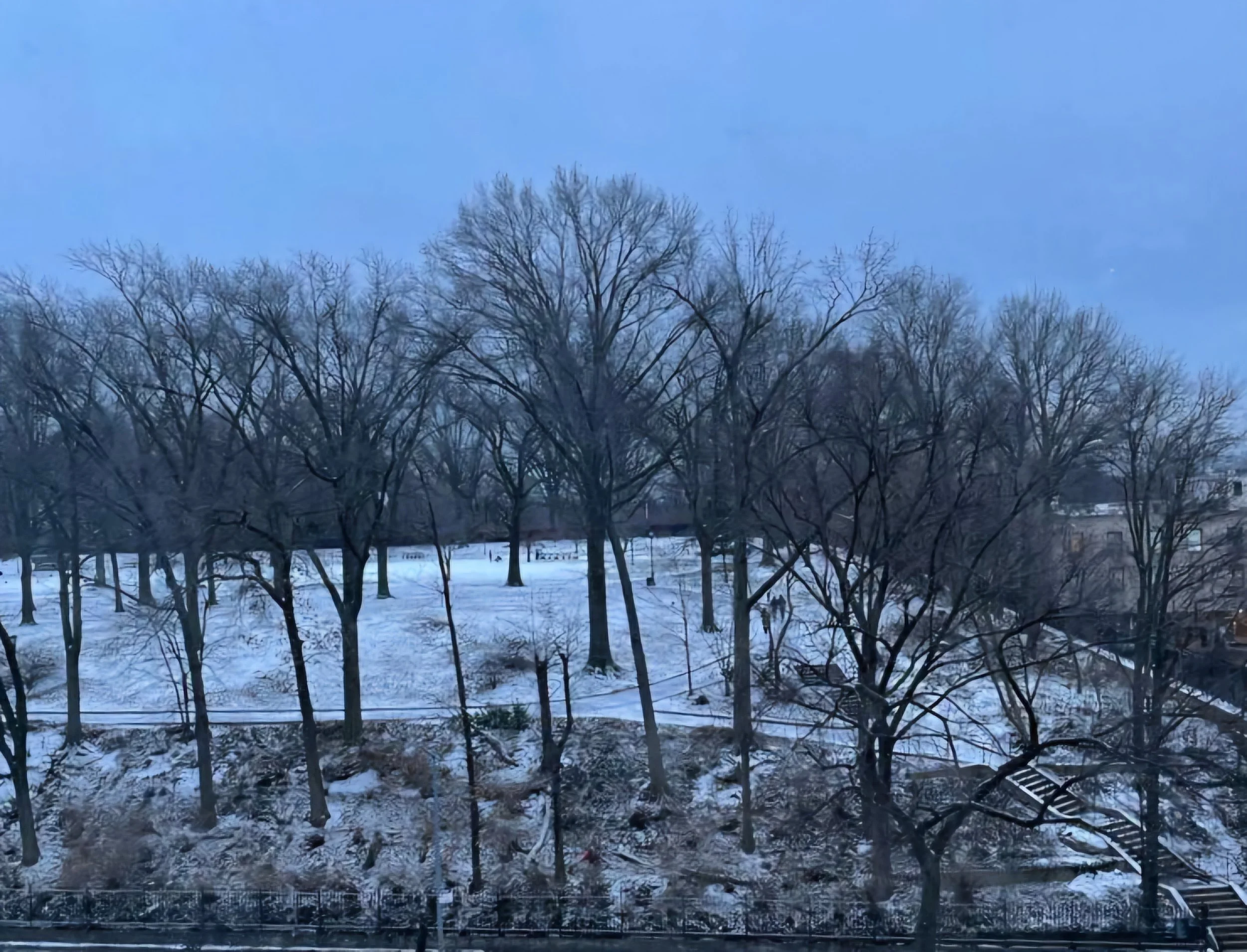 Visit Mount Prospect Park! — Friends of Mount Prospect Park