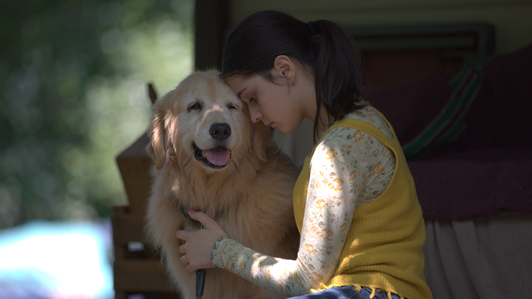 ‘Rain Reign’ Review: Paul Rudd and Felice Kakaletris Lead Gentle Family ...
