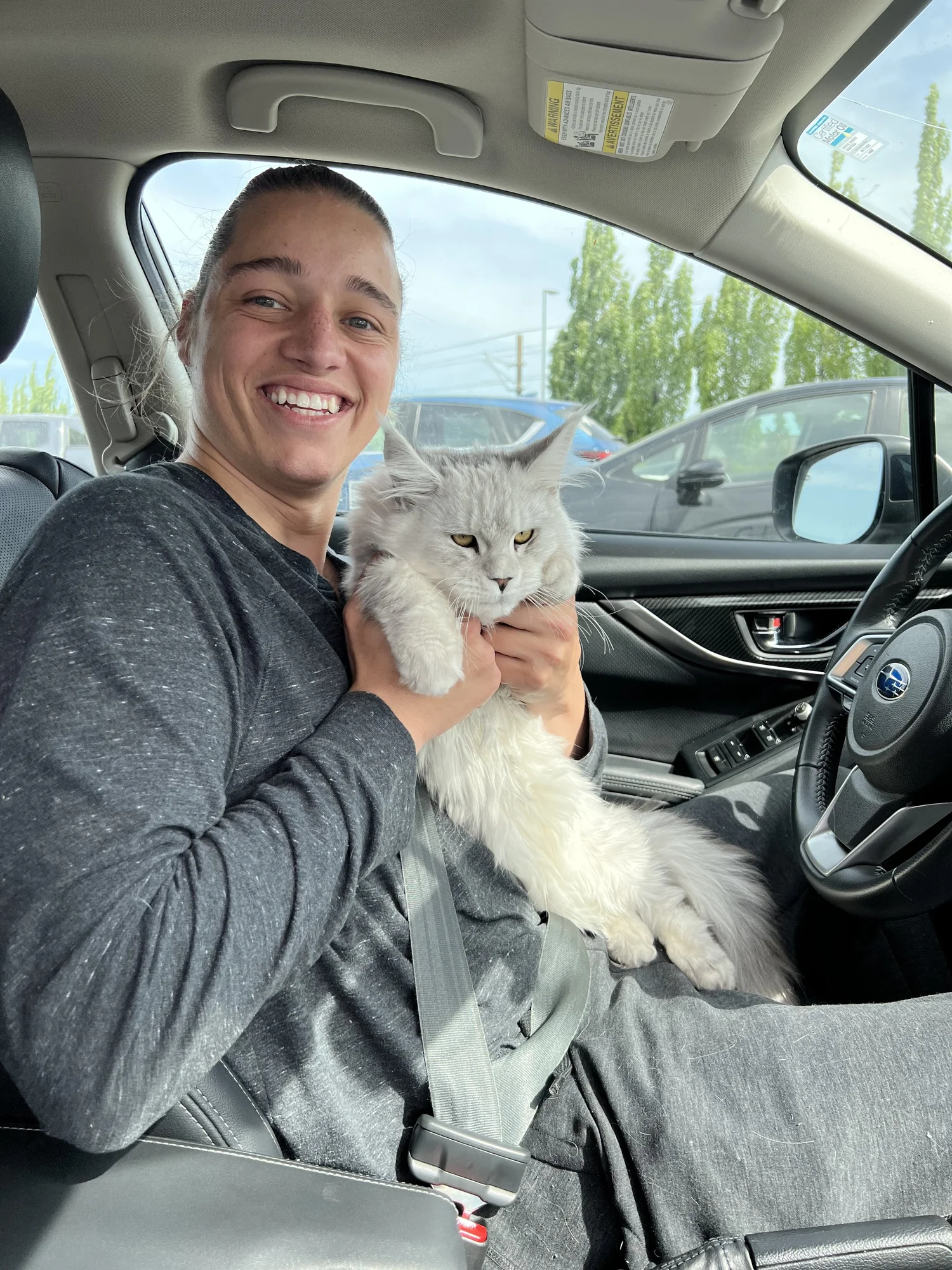 Realm Of Coons Maine Coon Cats | Maine Coon Kittens For Sale | Salem Oregon