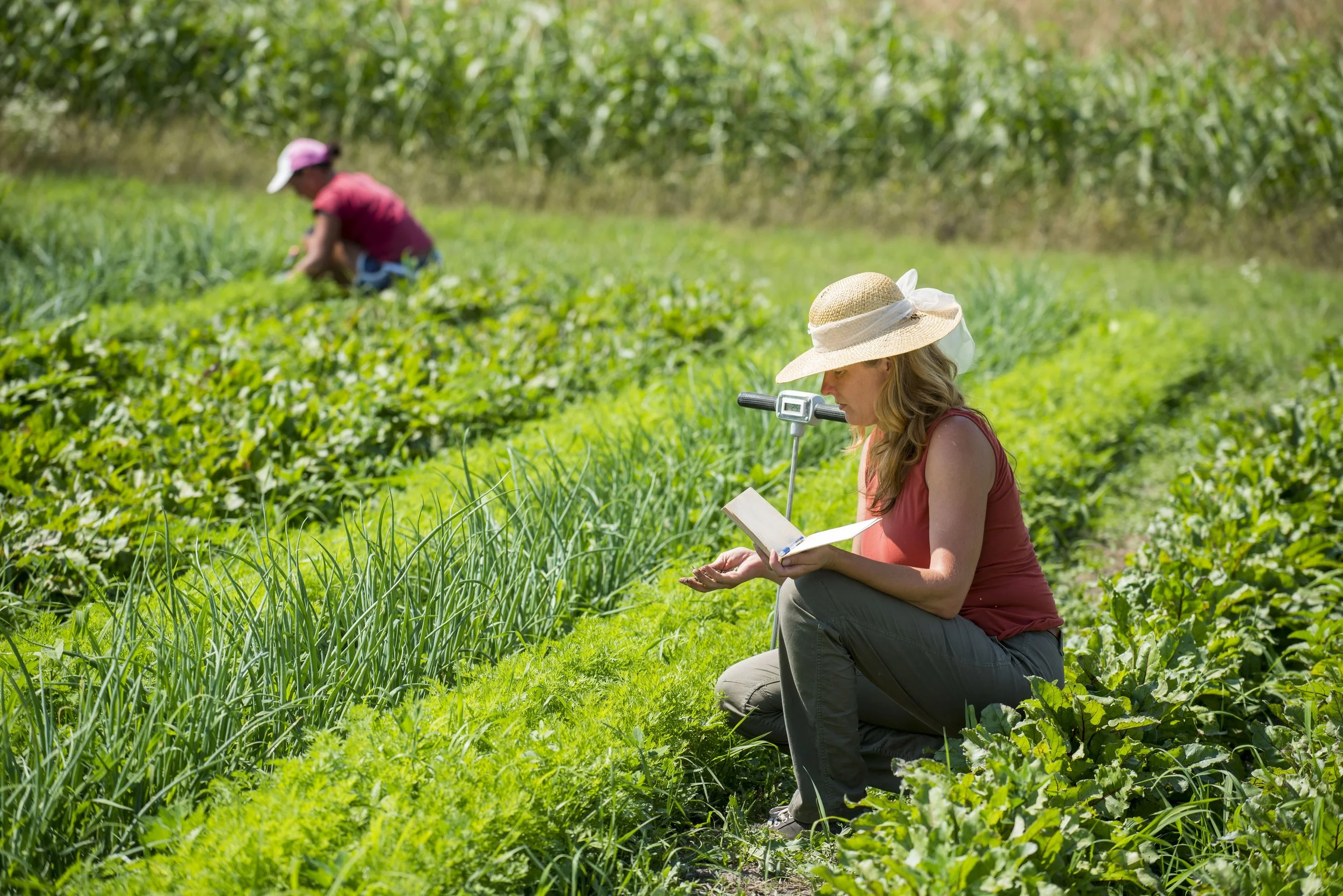 Agroecology Partnership