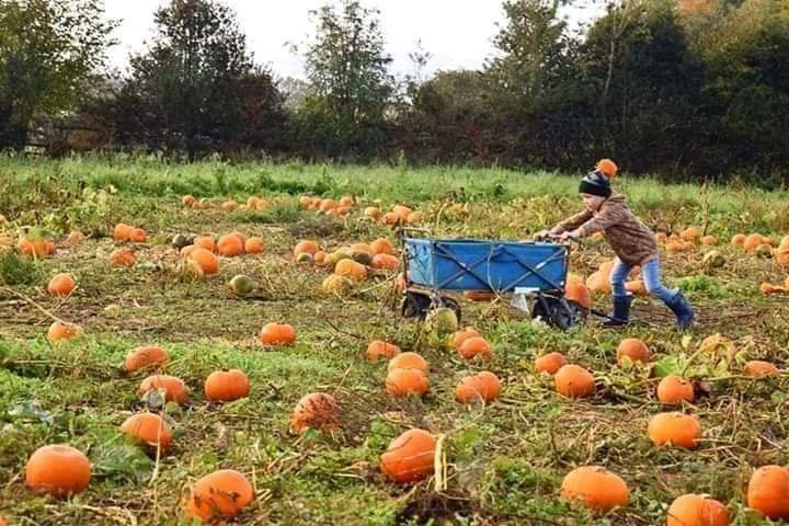 Who are we? — Pencoed Fach Farm