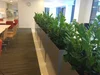 How to Create Hospital Landscape Design That Helps Patients Heal ...