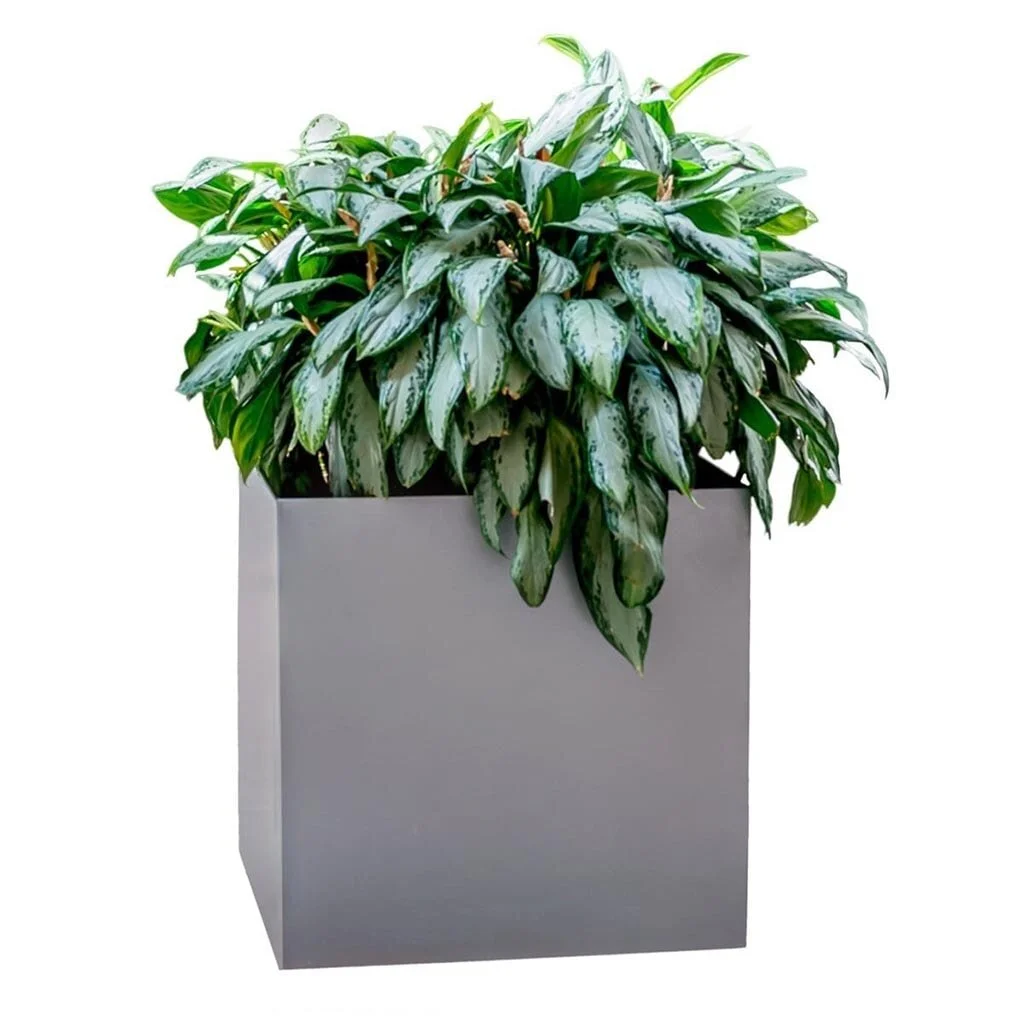 Modern Elite Cube Planter | PureModern