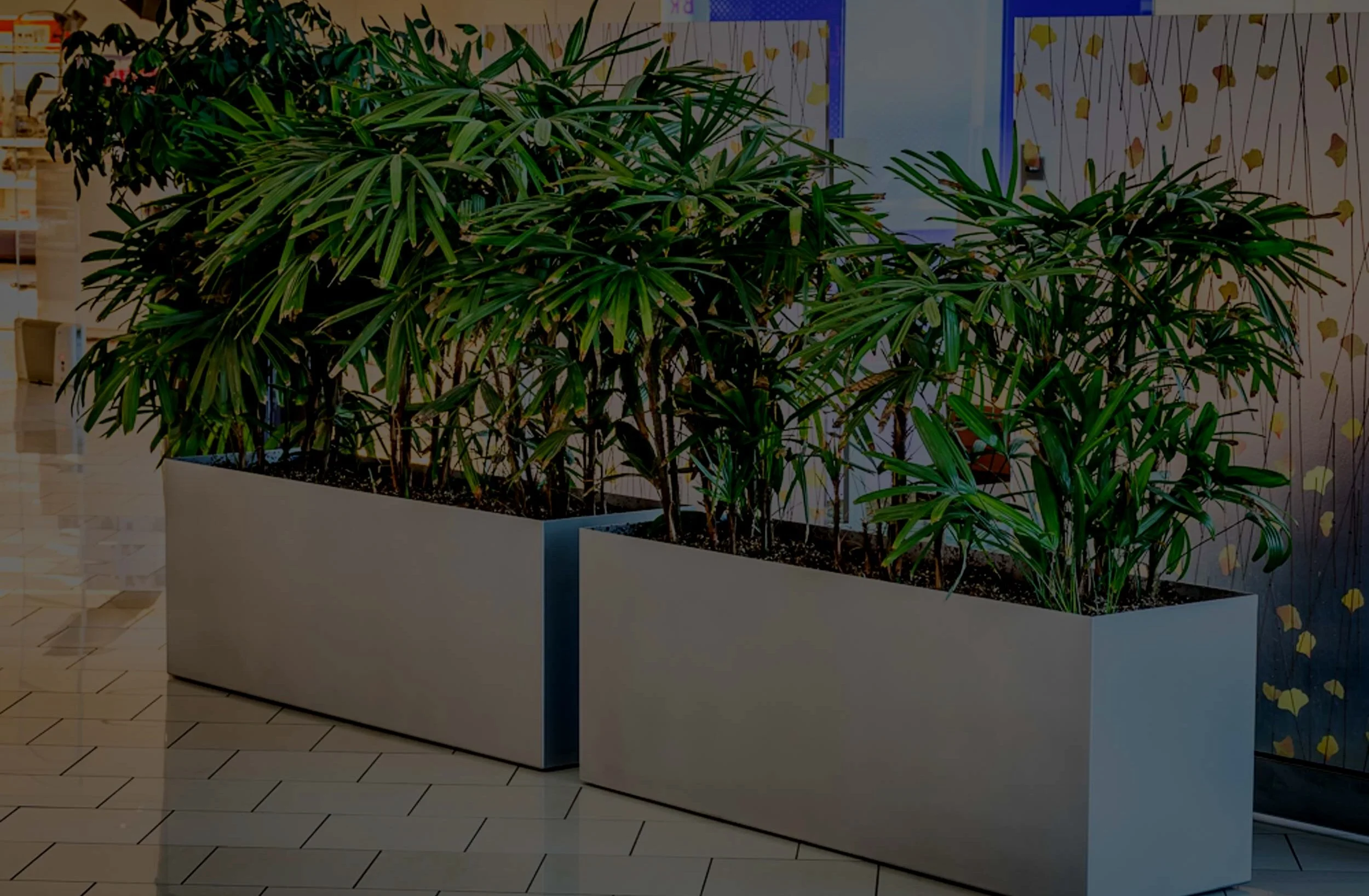 Modern Elite Metal Planters | PureModern