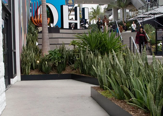 Premium Custom Edging Planters in New York City, NY | PureModern