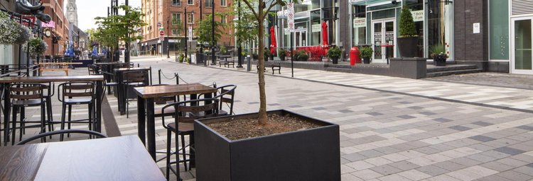 Urban Revitalization: The Importance of Green Spaces | PureModern