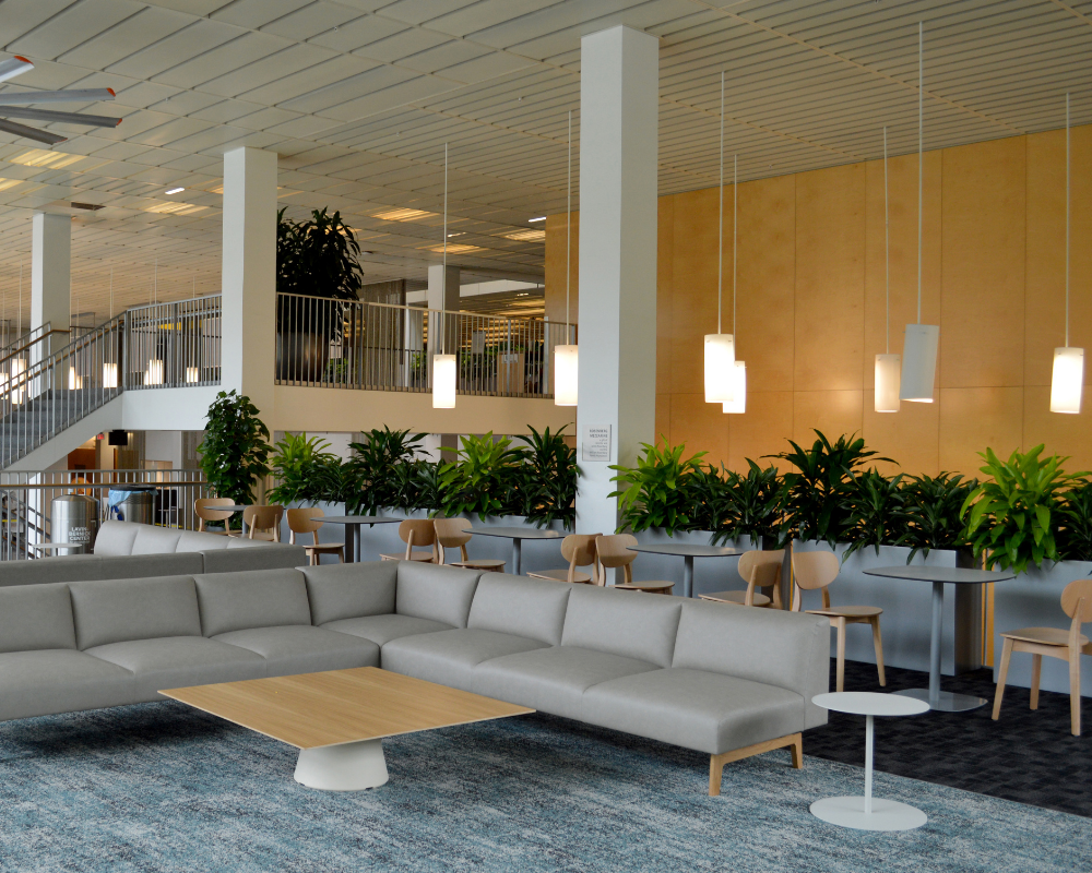 Premium Large Indoor Planters in Philadelphia, PA | Adaptable Planter ...