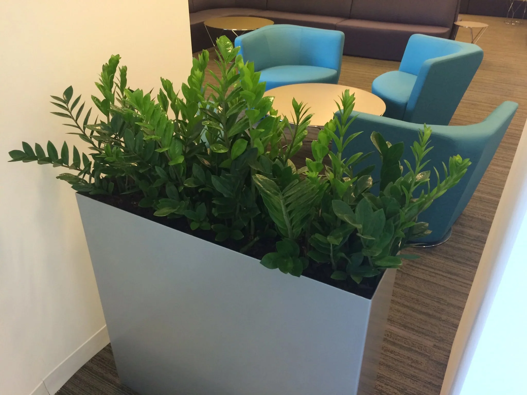 Creating Hospital Landscape Design That Promotes Healing | PureModern
