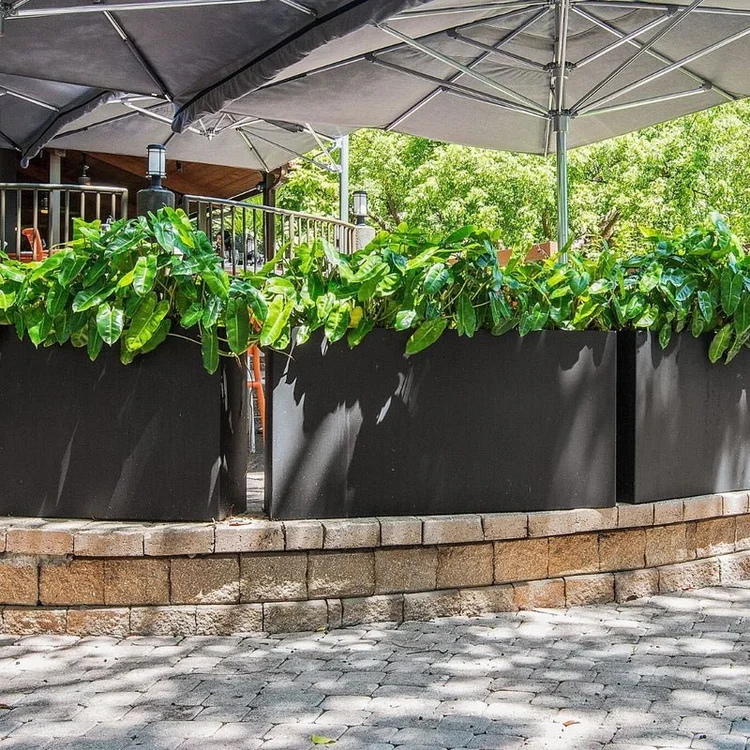 Easy Guide to Picking Perfect Commercial Restaurant Planters | PureModern