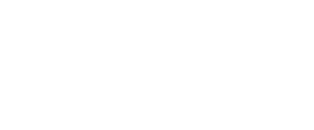 Phoenix Youth Programs