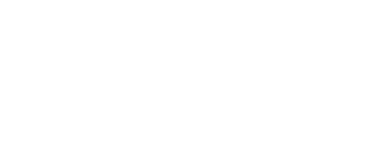 Programs and Services — Phoenix Youth Programs