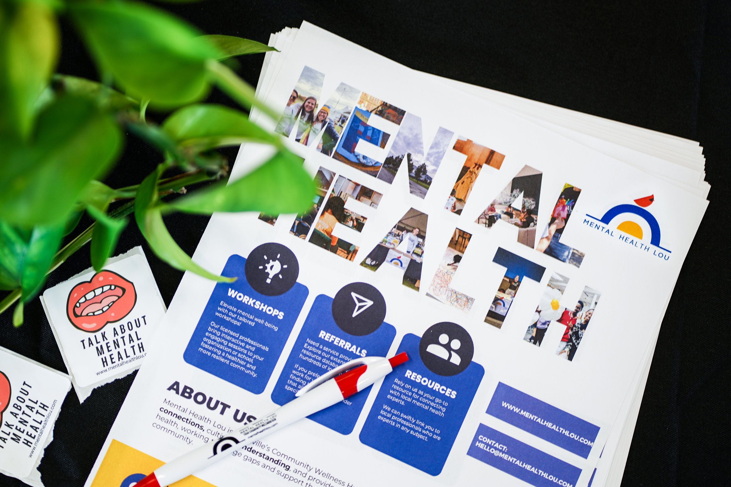 Steps To Access Provider Profile — Mental Health Lou – Louisville, KY