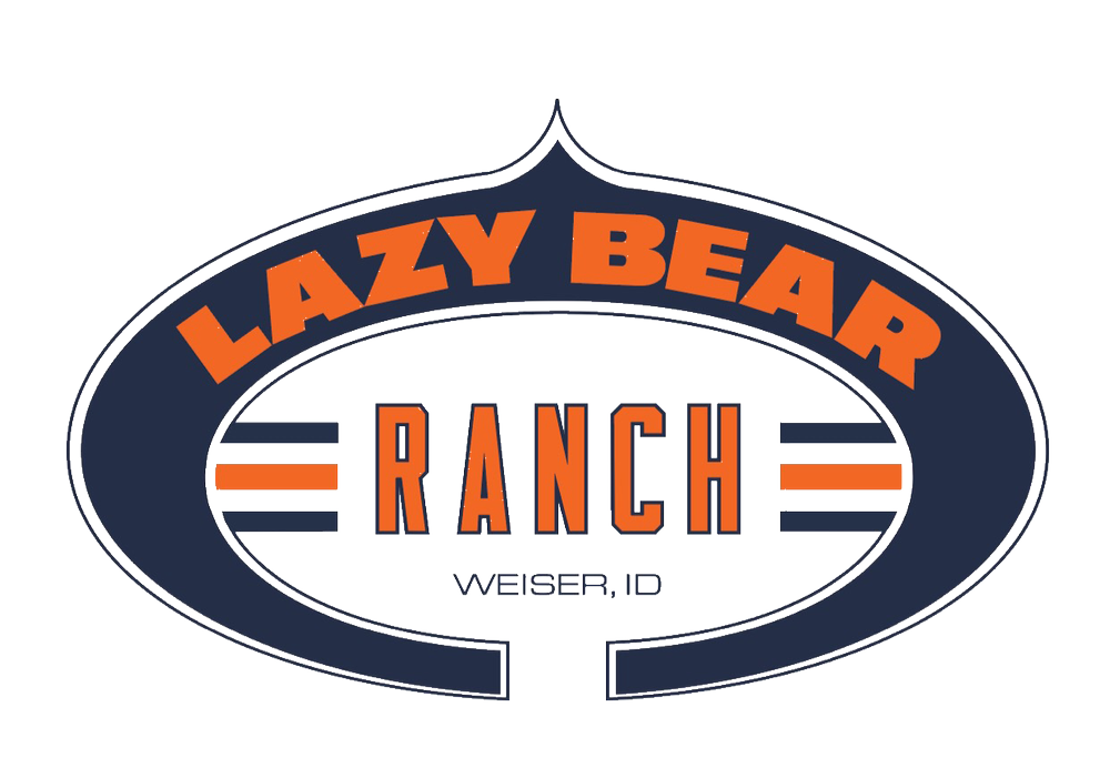 Lazy Bear Ranch Premier Ranch Experience Southwest Idaho