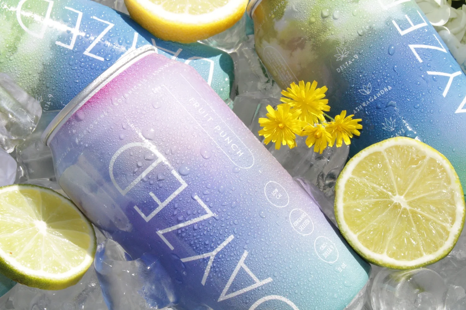 DAYZED THC/CBD Seltzers - Infused Social Tonics + Adaptogens, Real ...