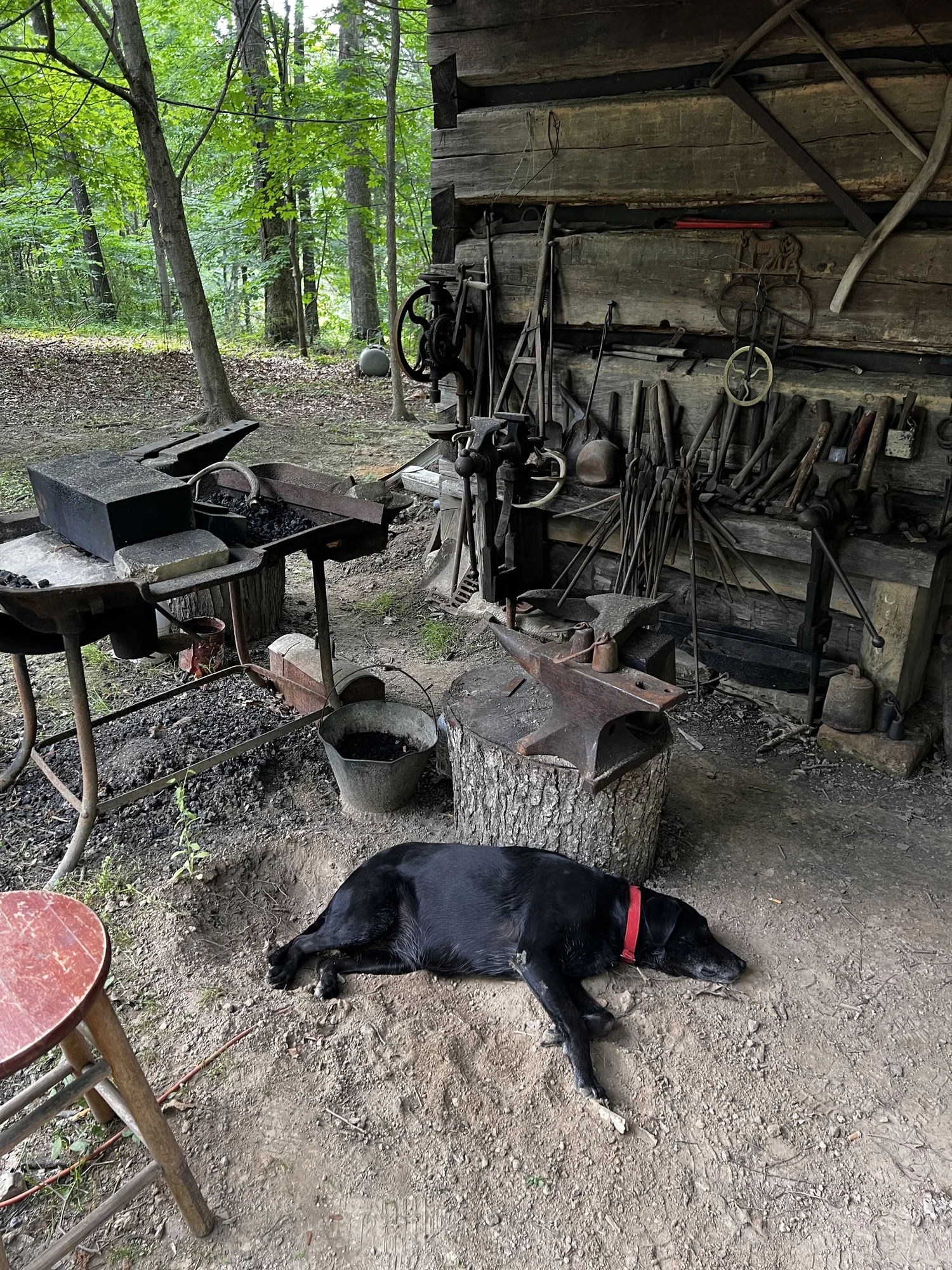 HERSHEL HOUSE WOODBURY SCHOOL FOUNDATION, INC.